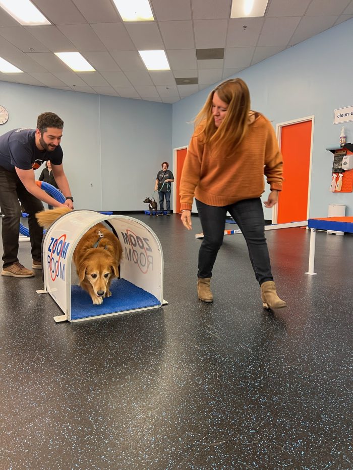 A Dream of Dogs, A Legacy of Hard Work: Shemeck’s Immigrant Journey to ...